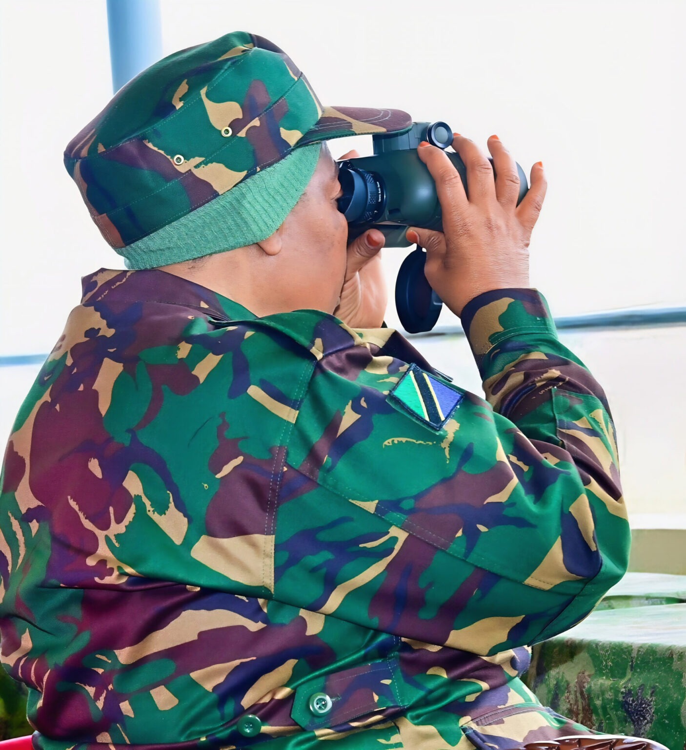 Introduction: The history of the Tanzanian armed forces - Tanzania