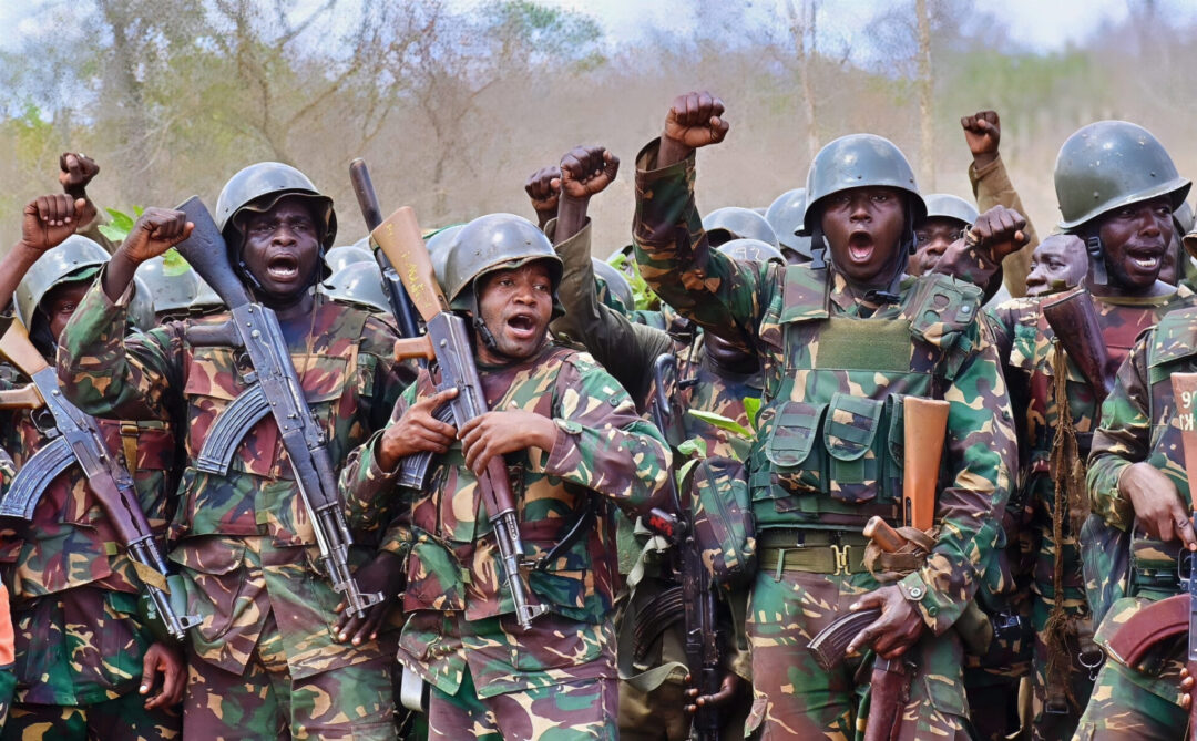 Introduction: The history of the Tanzanian armed forces - Tanzania